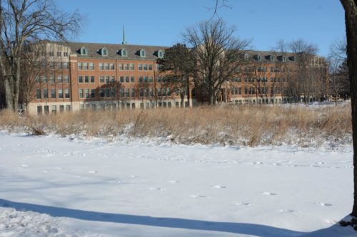 Winter at the Motherhouse - IHM Sisters